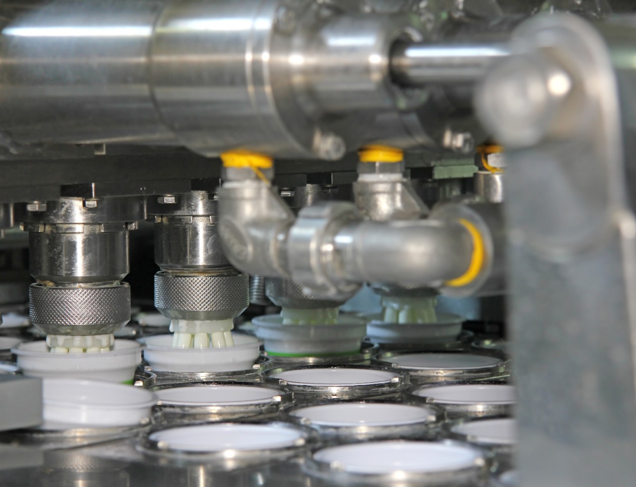 Primary Food Packaging