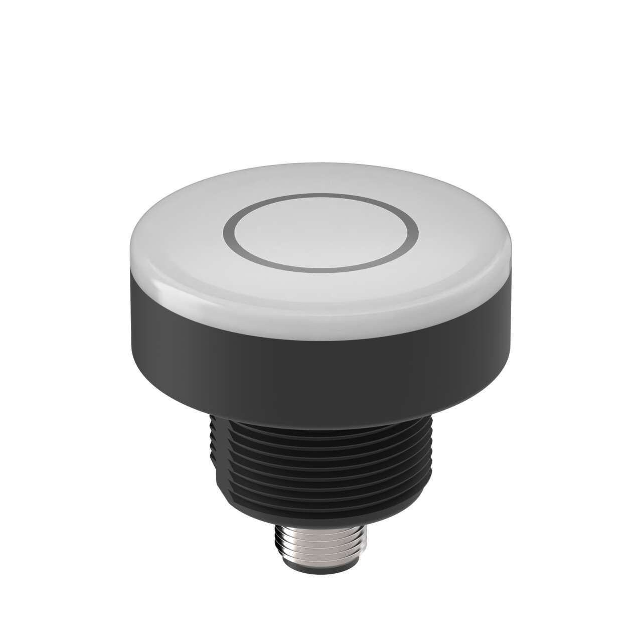 K50PTCKQ-CRCLI | Products for Industrial Automation