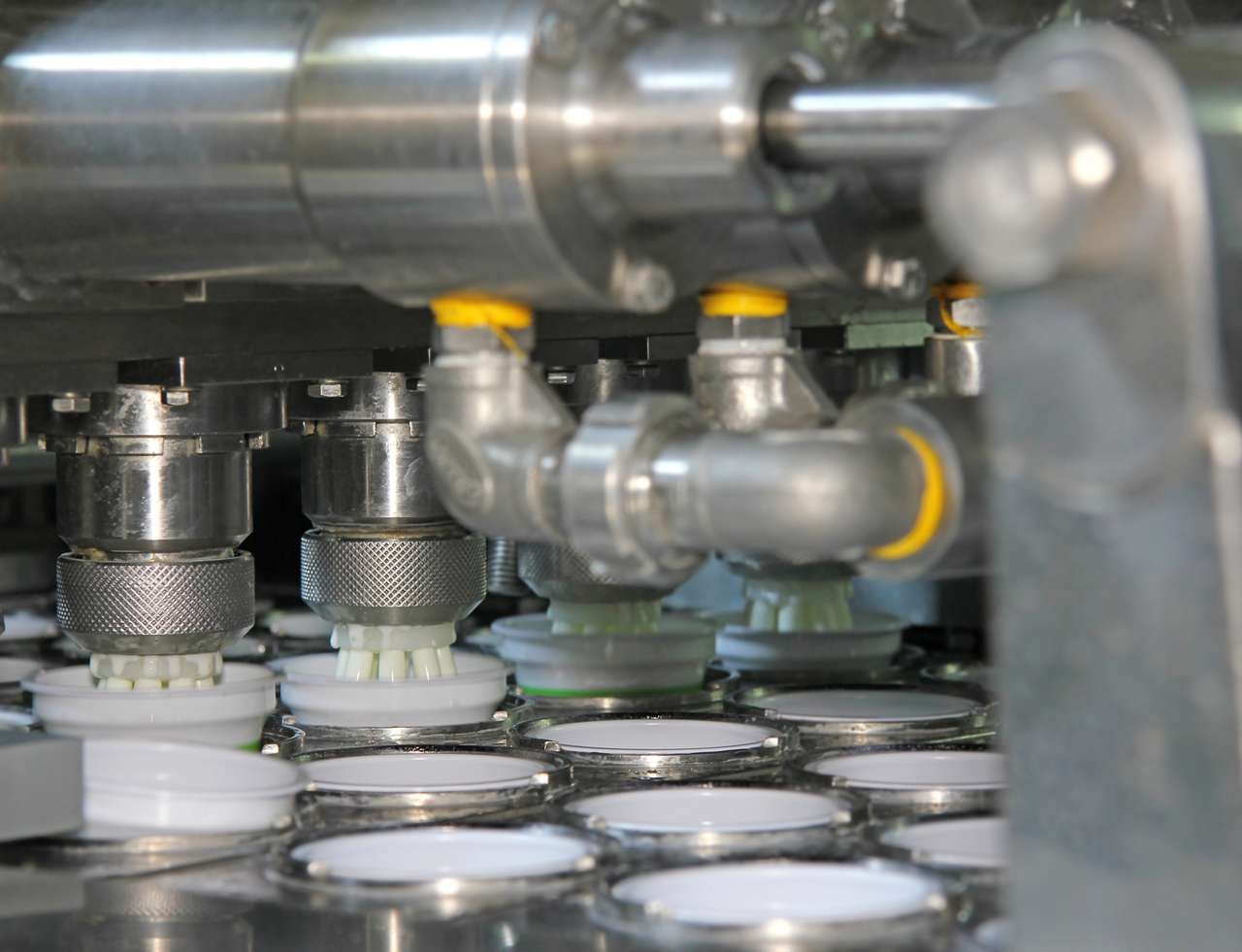 Primary Food Packaging